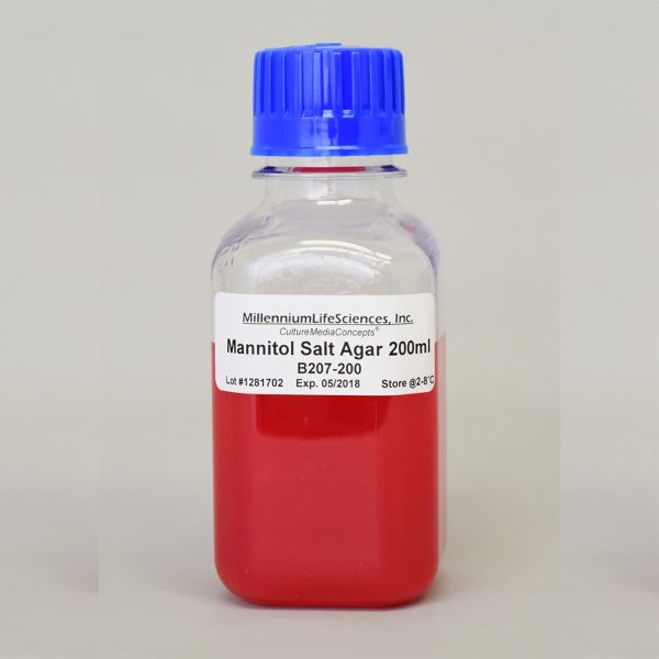 80 days around the world – Culture Media Concepts