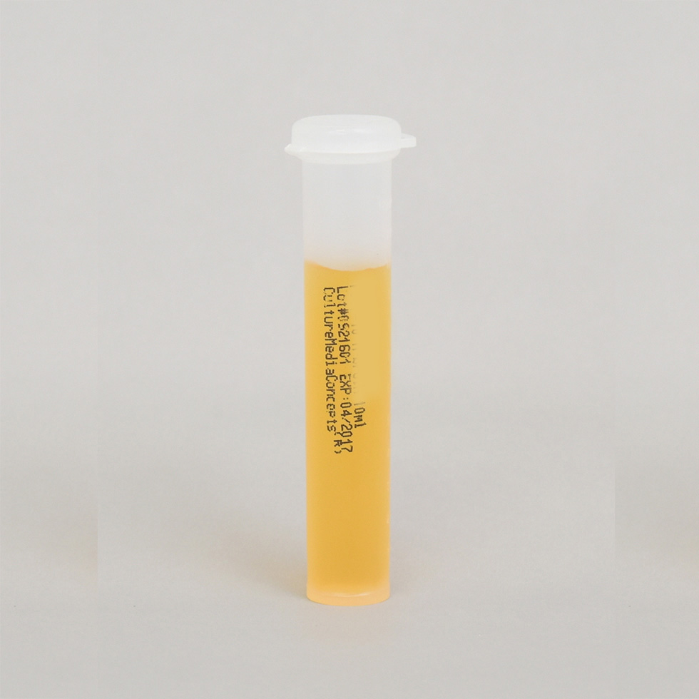 Fraser Broth – Culture Media Concepts