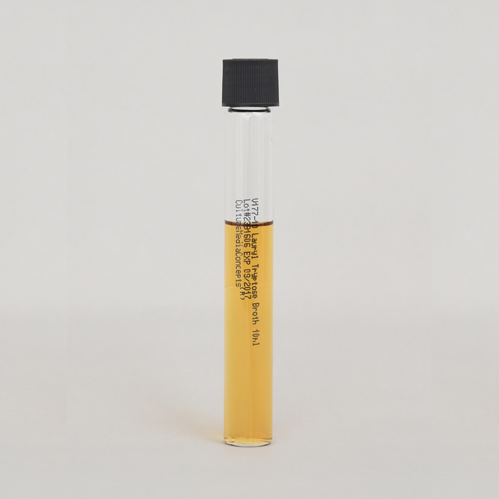 Lauryl Tryptose Broth – Culture Media Concepts